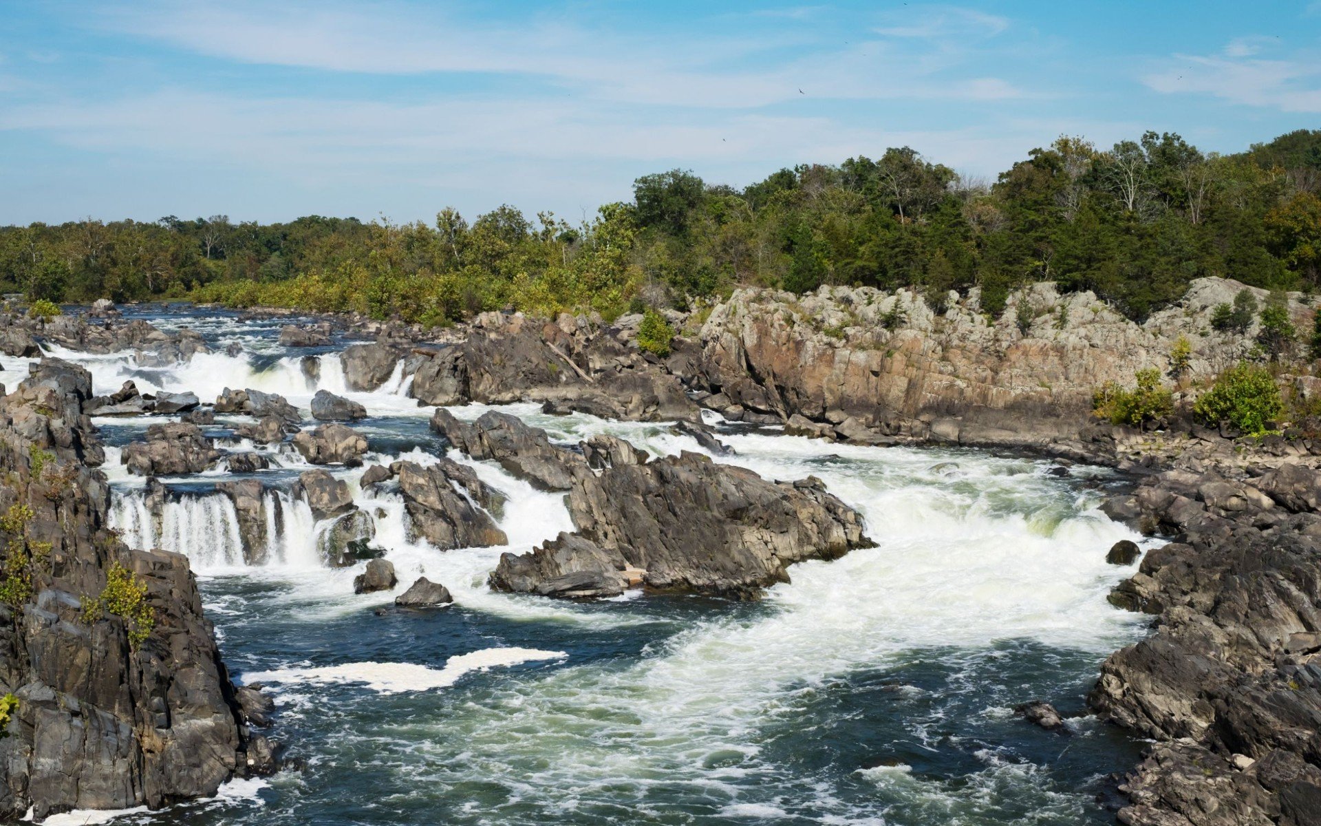 Explore Virginia Neighborhoods | Elizabeth Kovalak