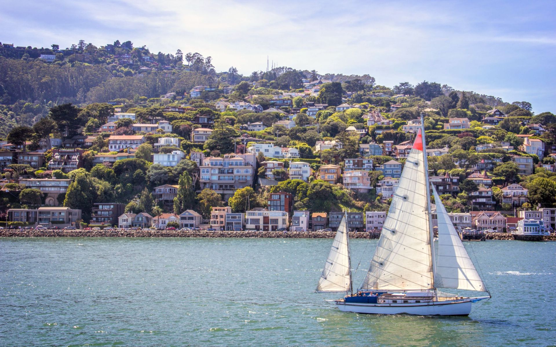 Contact Me For All Your Real Estate Needs | Emily Schaffer