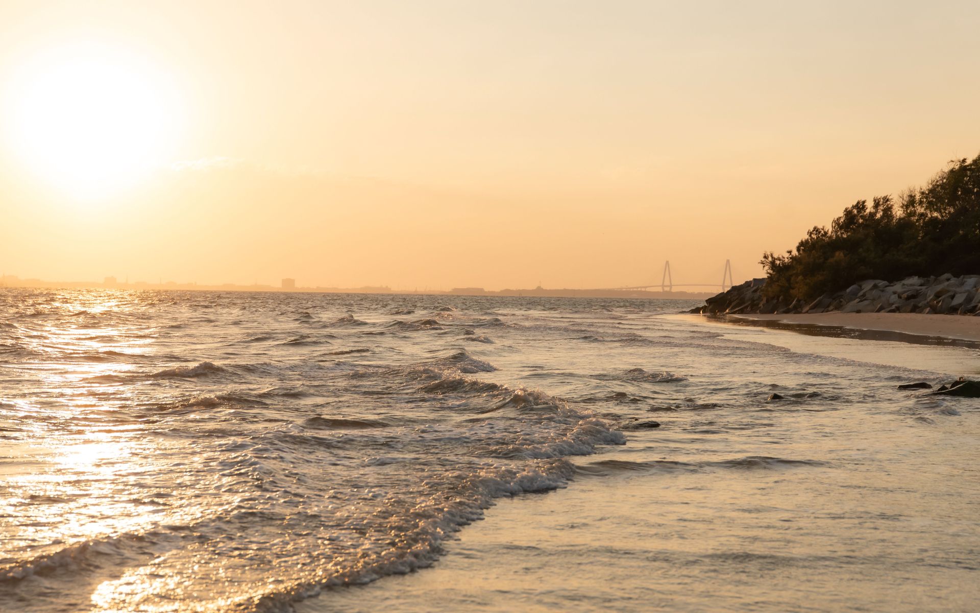 Marie Pohlman | Charleston, SC Real Estate Agent