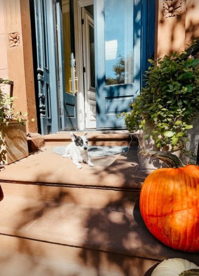 Good Neighbor, Bad Neighbor