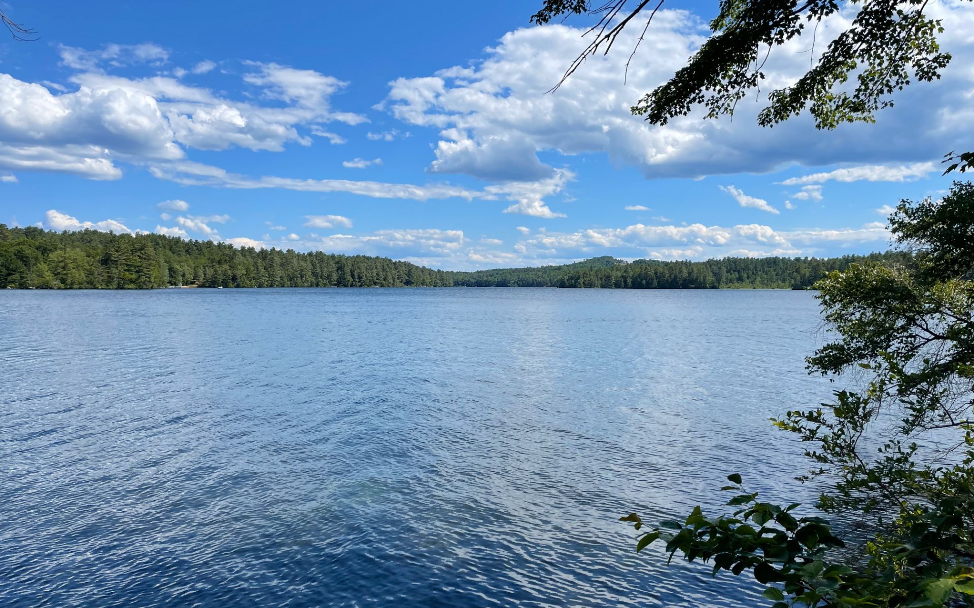 Waterfront Communities | Lake Mountain Property Group