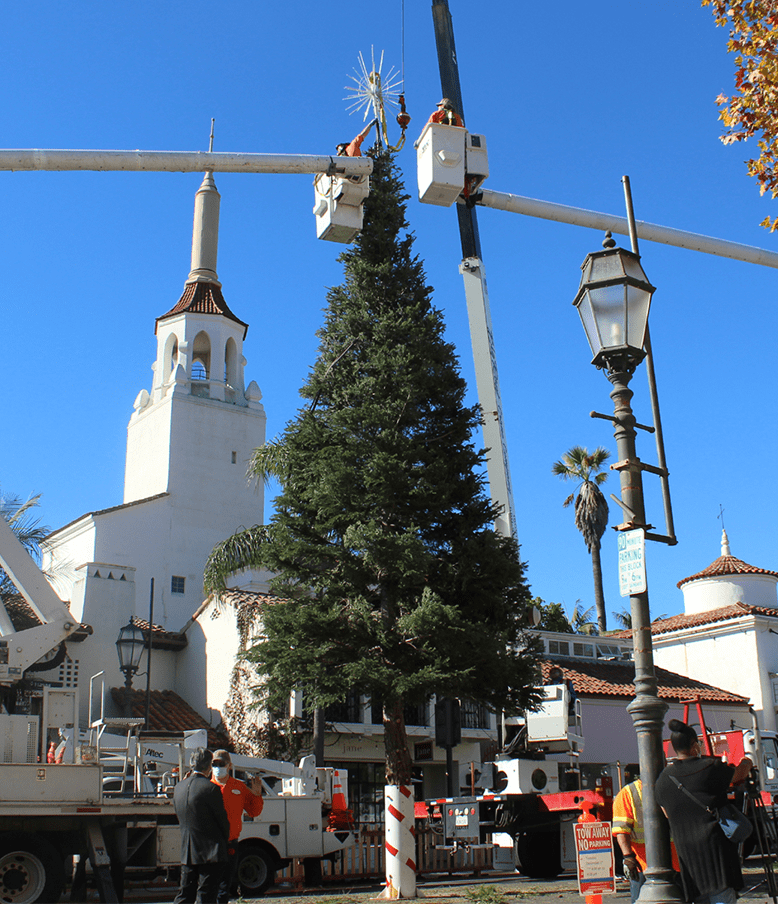 Santa Barbara Downtown Christmas Tree.