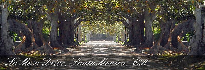 La Mesa Drive | Arlene Rutenberg | Los Angeles Real Estate Agent