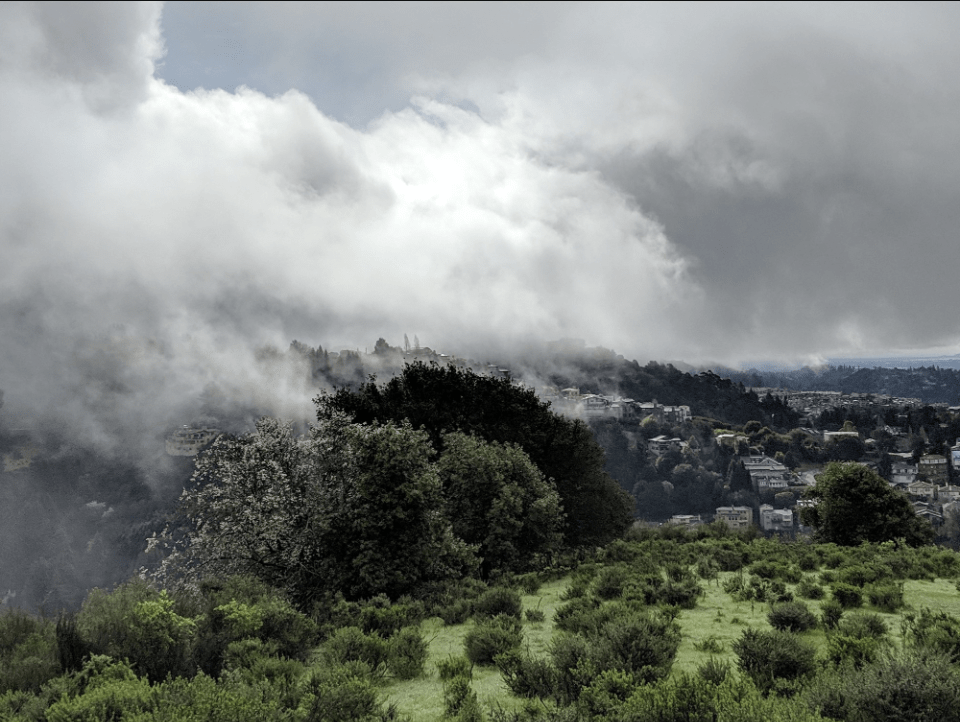 Inner East Bay Real Estate Market Report - Feb 2024