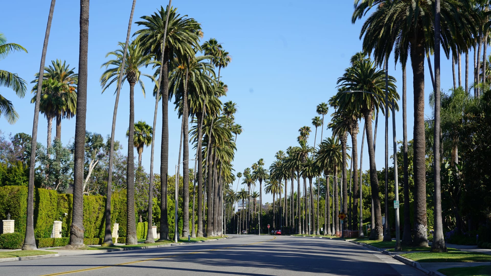 Comprehensive Neighborhood Guide | Kevin Dees