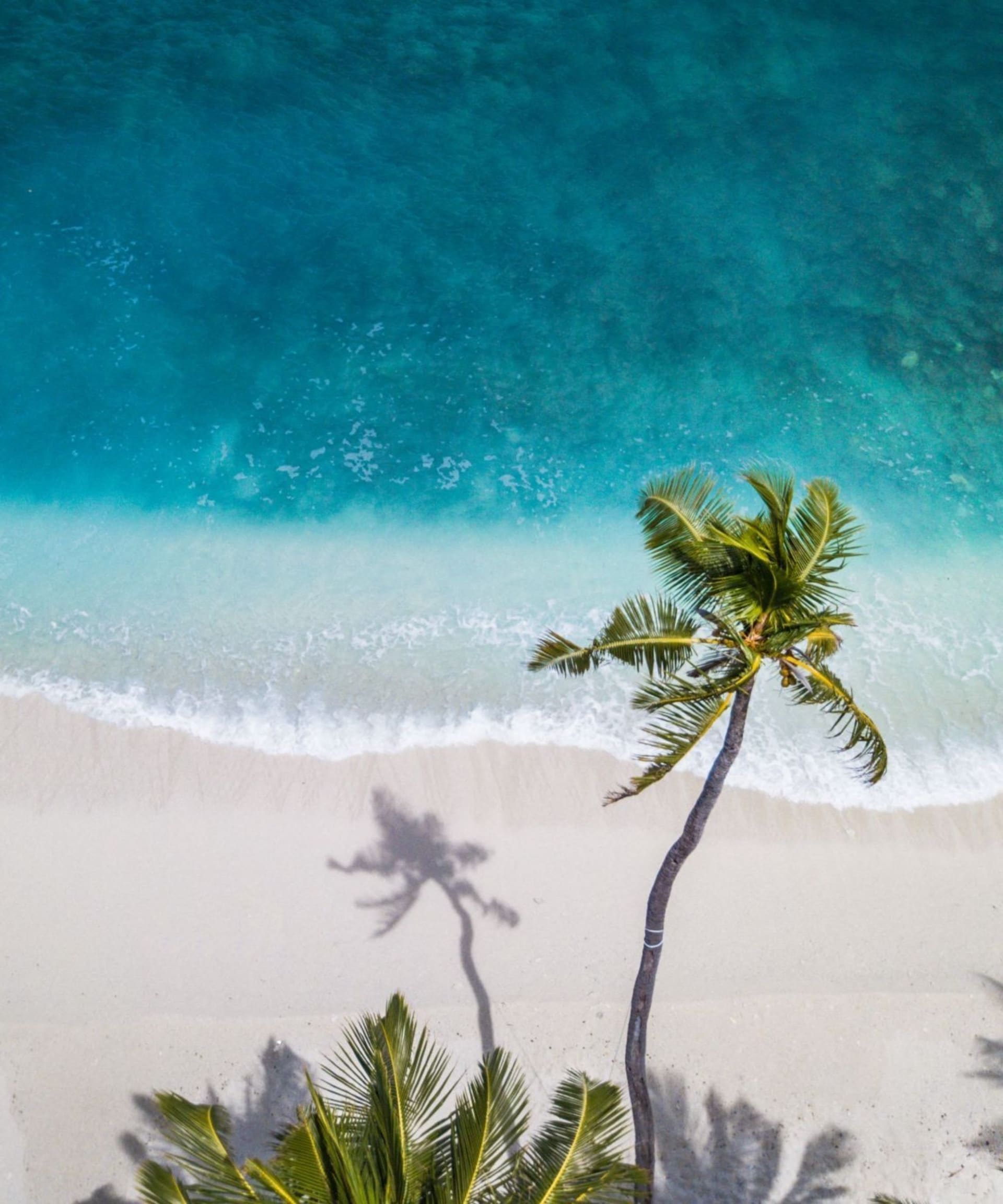 Jennifer Kilpatrick | Delray Beach, FL Real Estate Agents