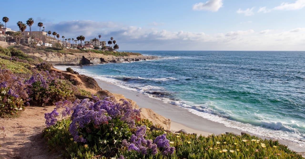 Laguna Canyon Real Estate & Homes For Sale - Ed Dorini