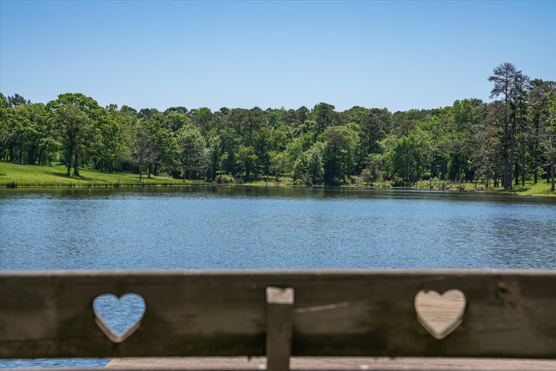 Recently Sold Properties in Texas | Delanee Clark
