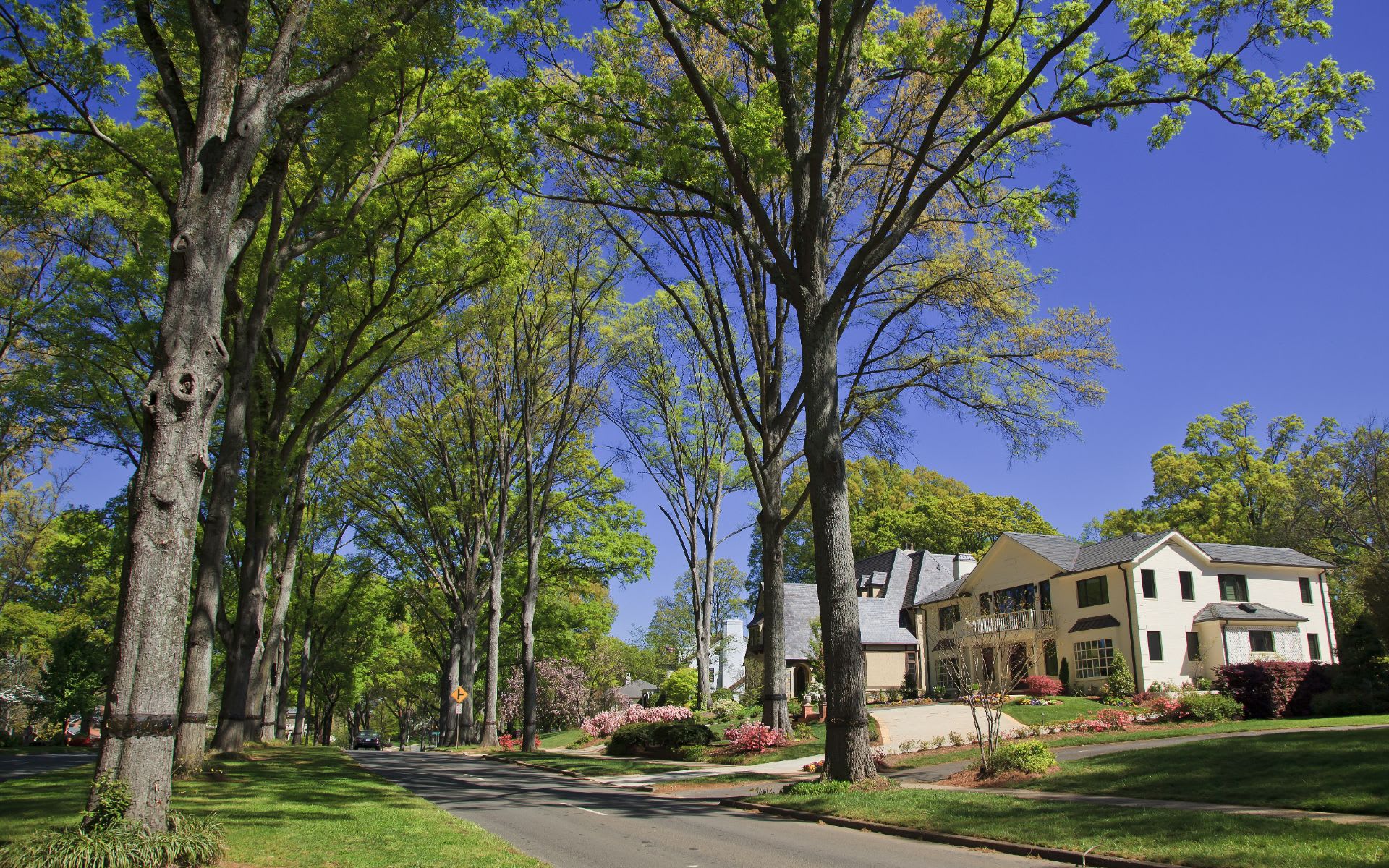 Montford Homes for Sale | Mills Coin & Co. Real Estate Group