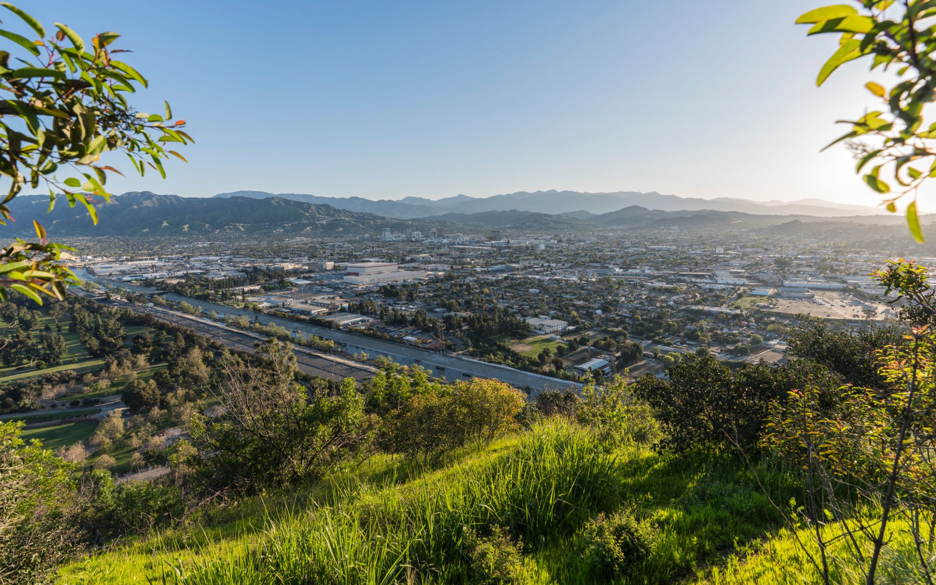 Meg Middleman Awards & Recognitions | The Middleman Team