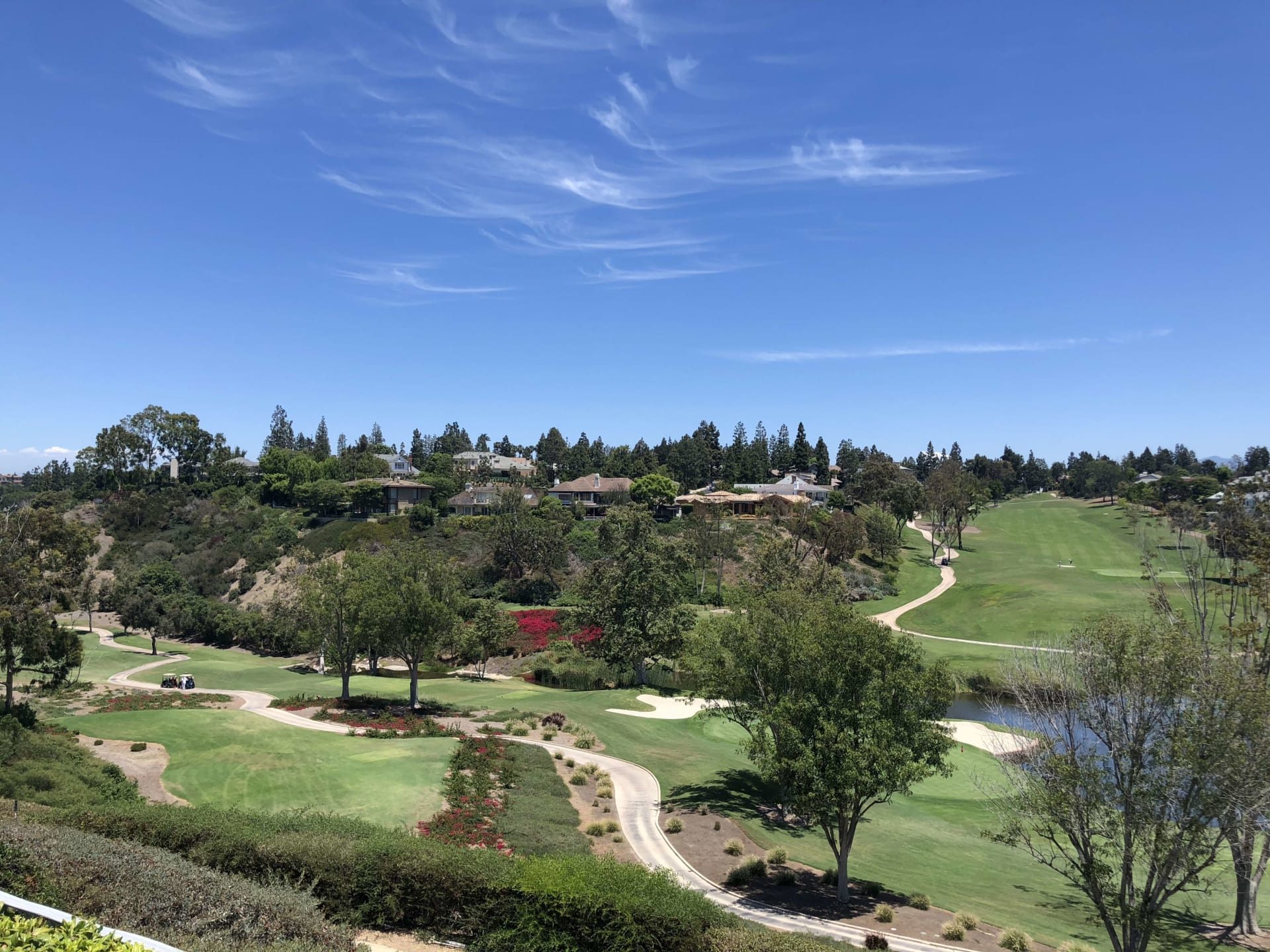 Neighborhood Announcement | Cypress Cove Real Estate | California Real ...