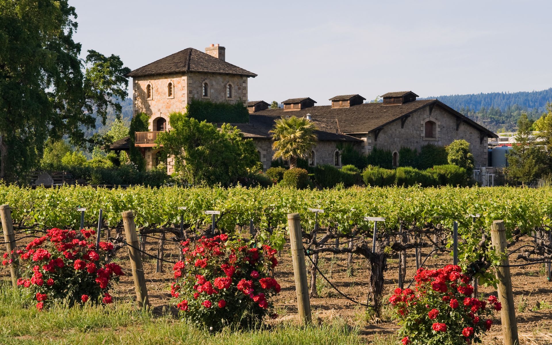 Kevin McDonald | Sonoma & Mendocino County Real Estate Agent