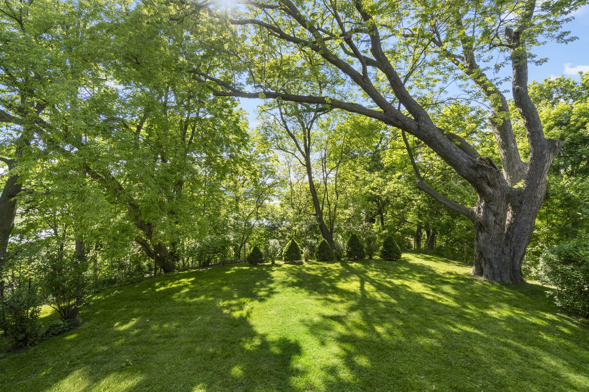314 Dyson Road