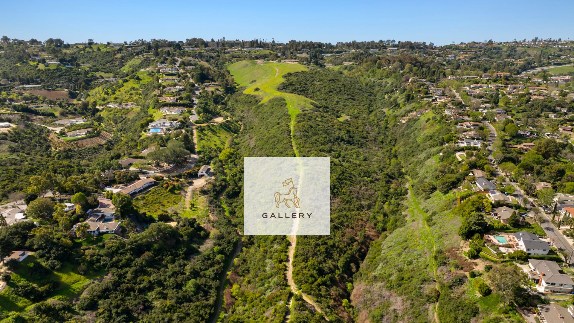 Gallery | Storm Hill Lane | Suzanne Dyer