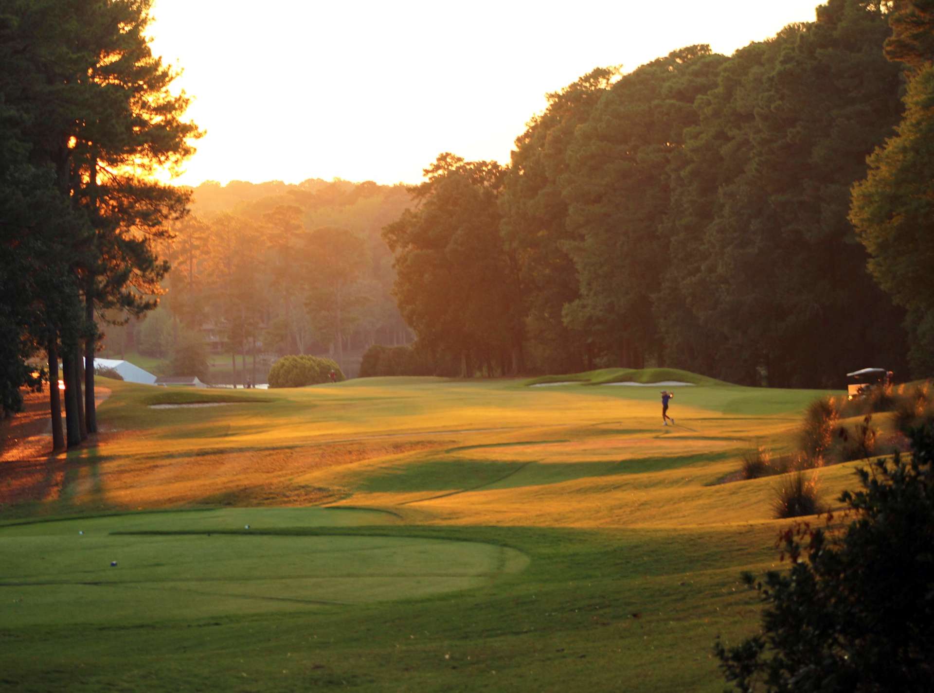 Van Starling II | Cary, NC Real Estate Expert