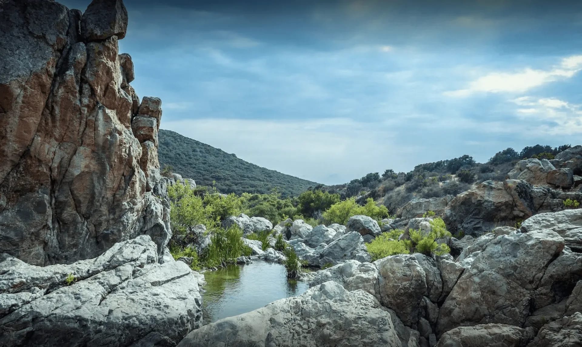 Del Mar Mesa | Rande Turner Collective