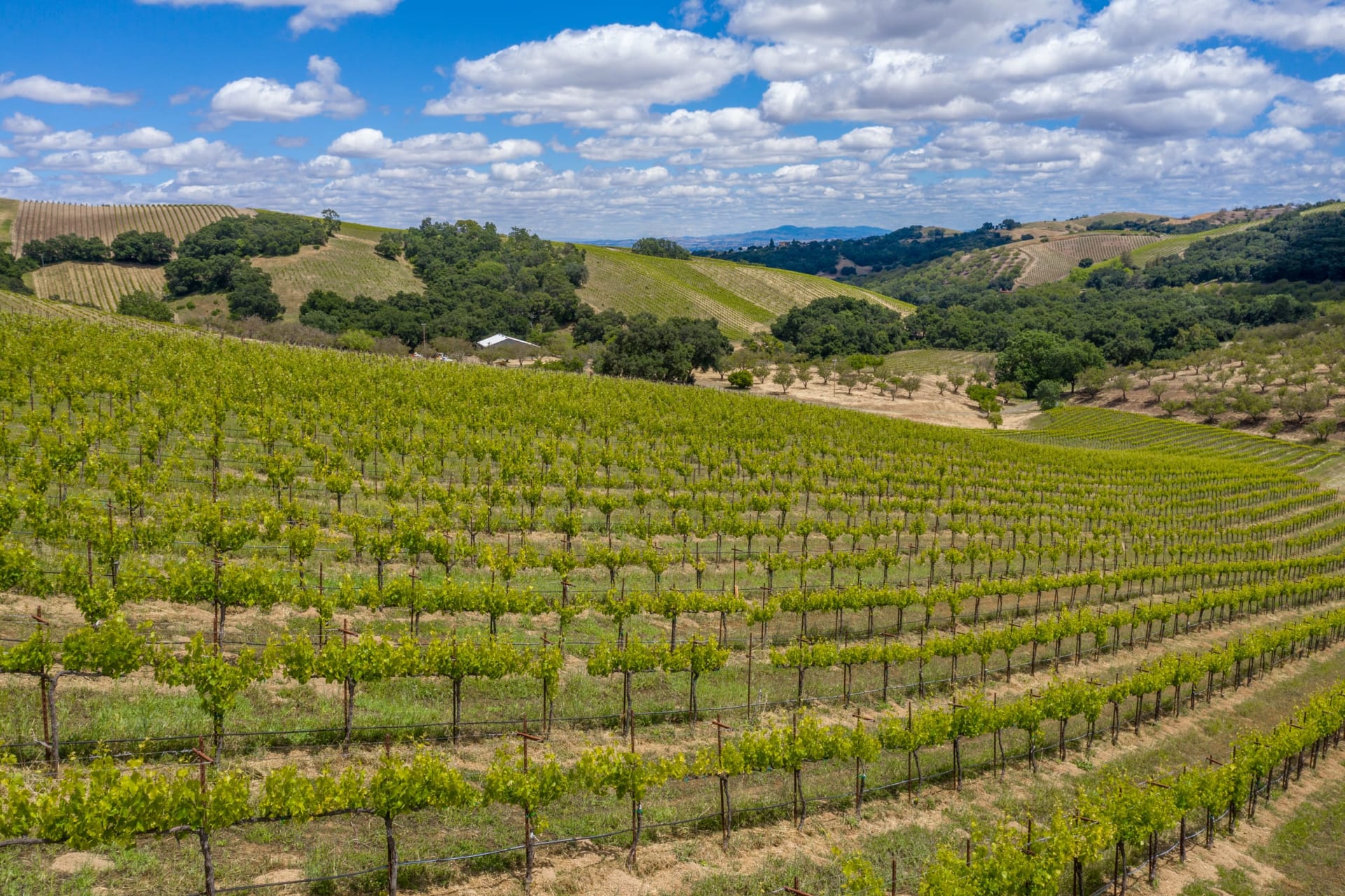 Luxury Estate Comps | Vineyard Professional Real Estate