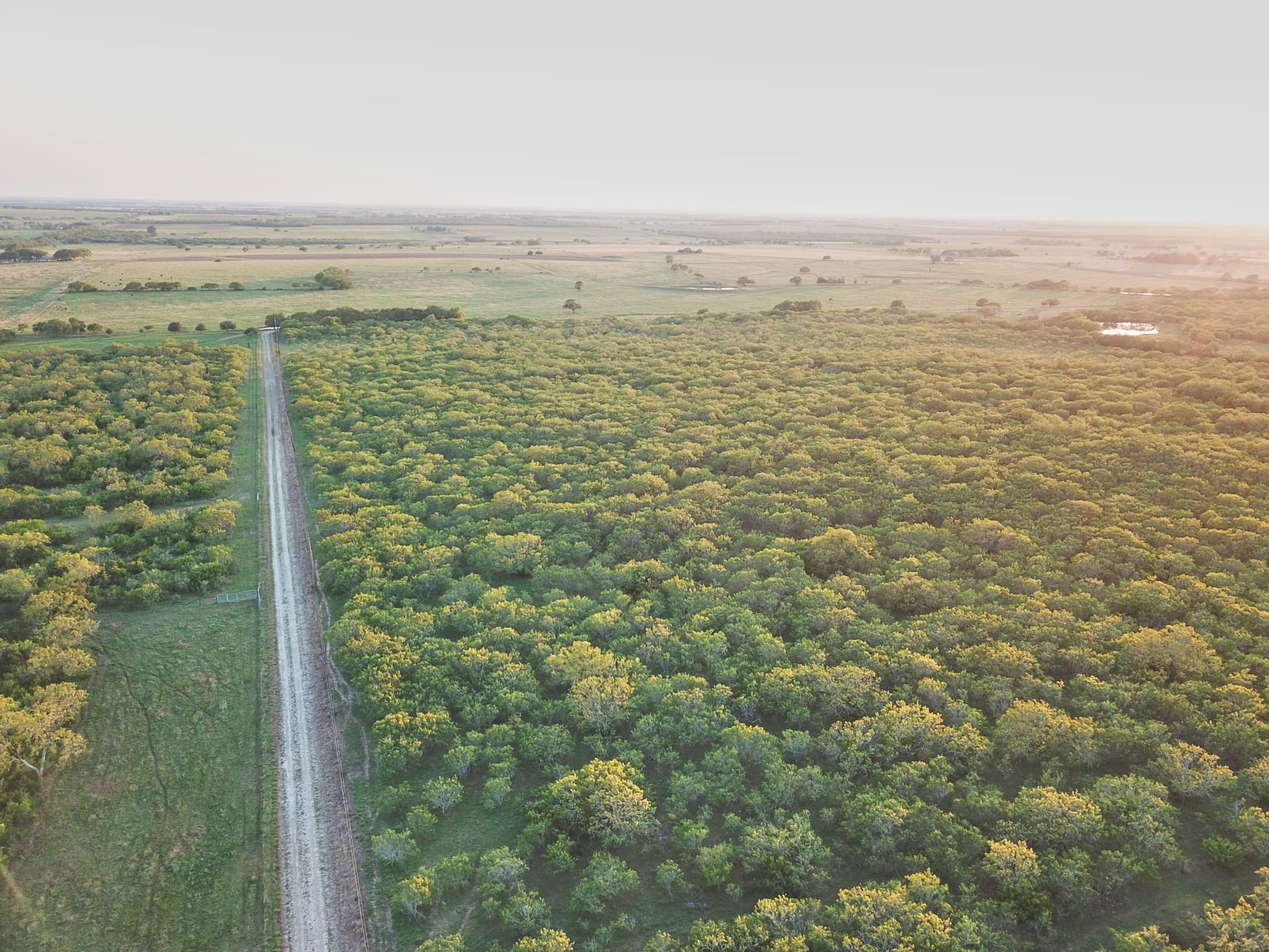 Wilson County, TX Land for Sale | Gaines Slade