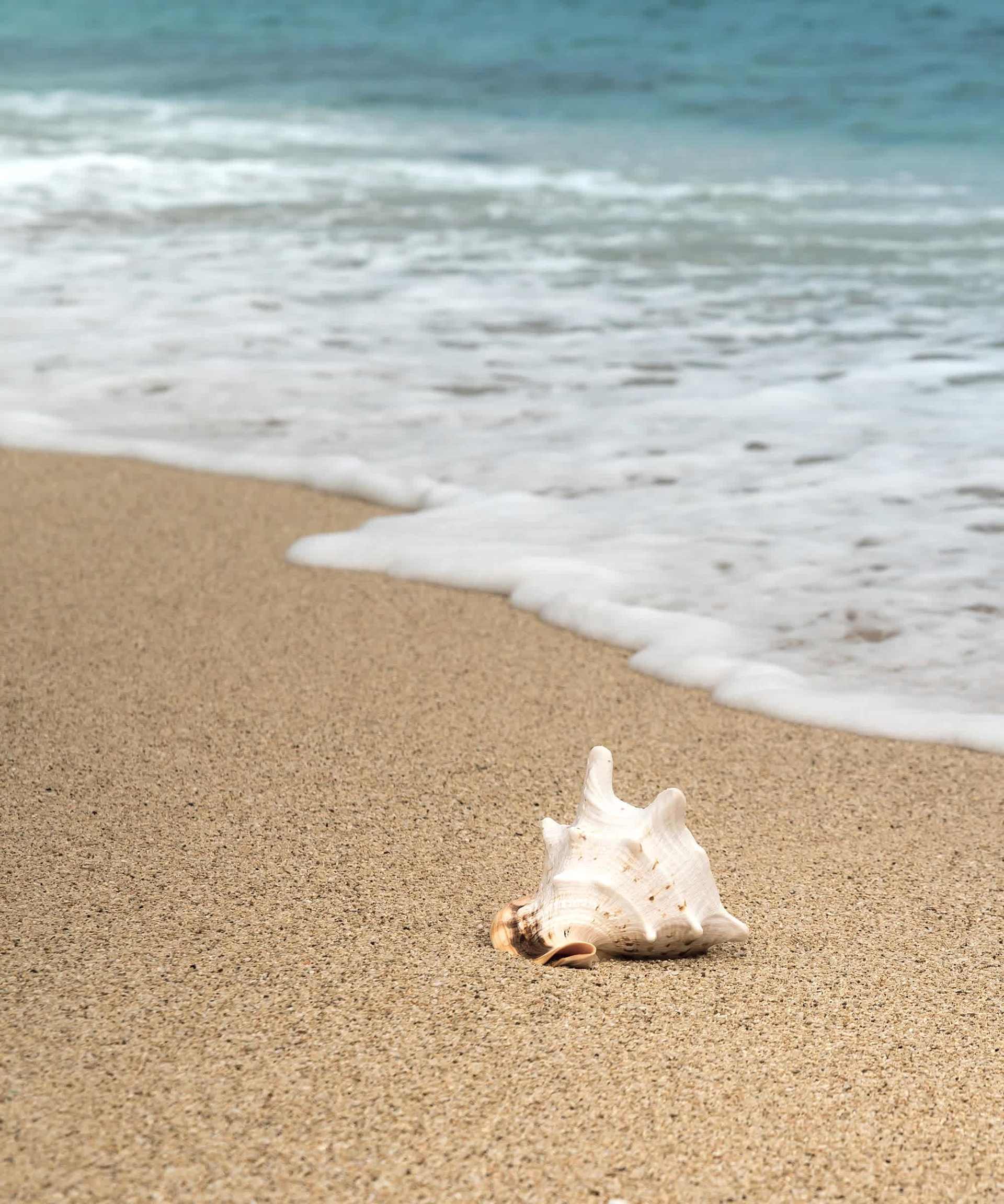 Top Naples Fl Real Estate Agents | Joan & Richard Stagg