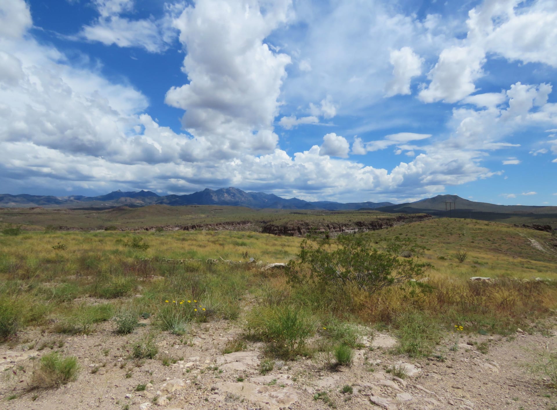 Testimonials | Kathy Ortman | Arizona Real Estate Agent