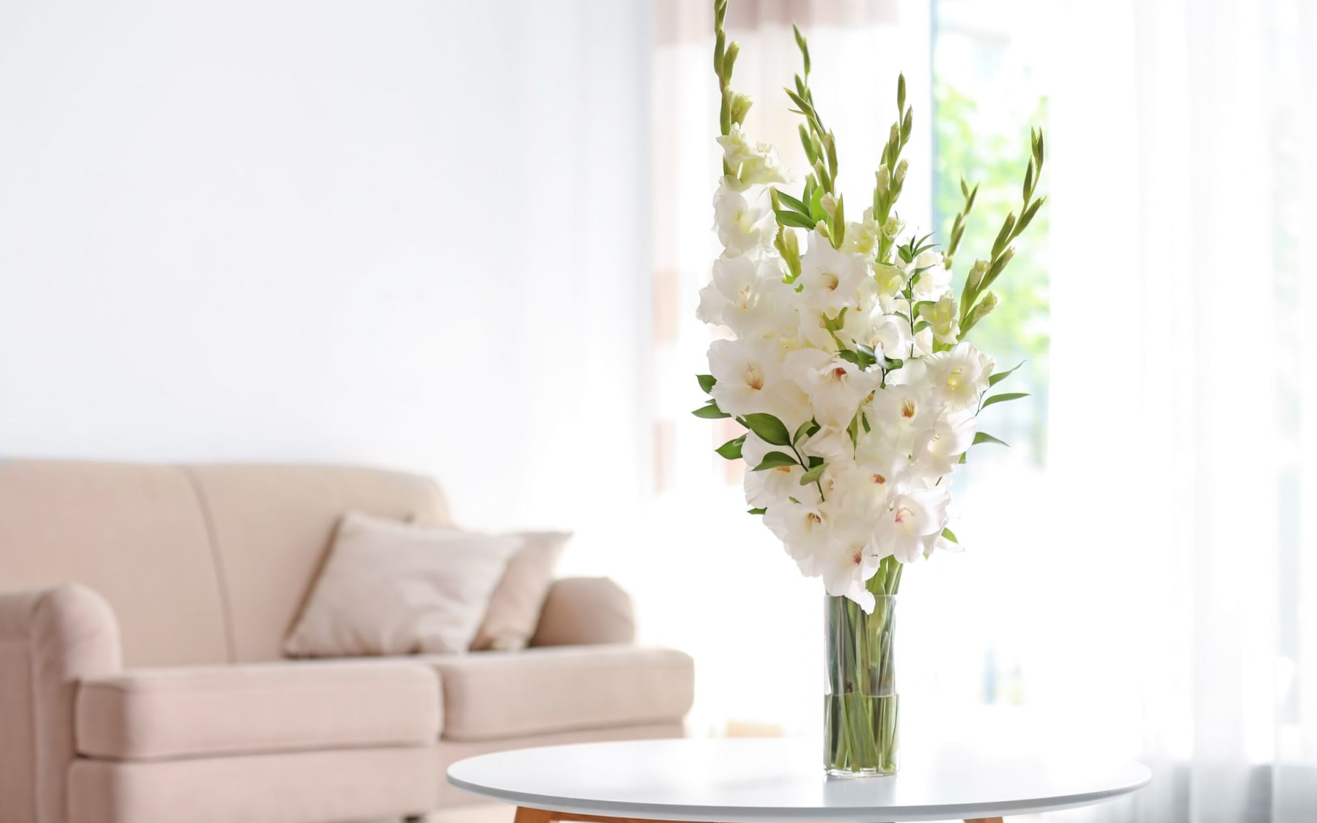 Client Testimonials & Success Stories | Joy Realty Group