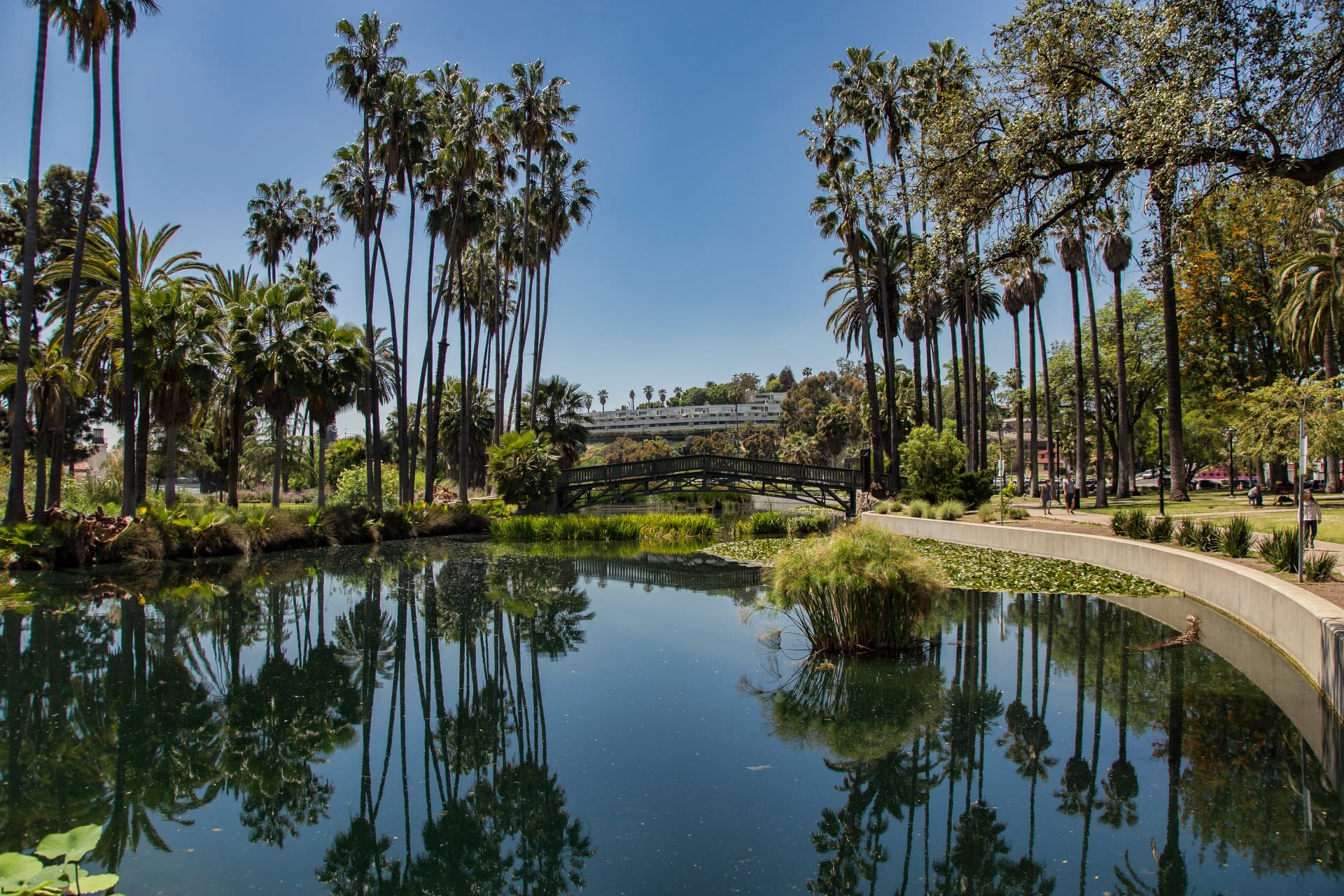 Silver Lake Homes | Alyssa Valentine + Anselm Clinard