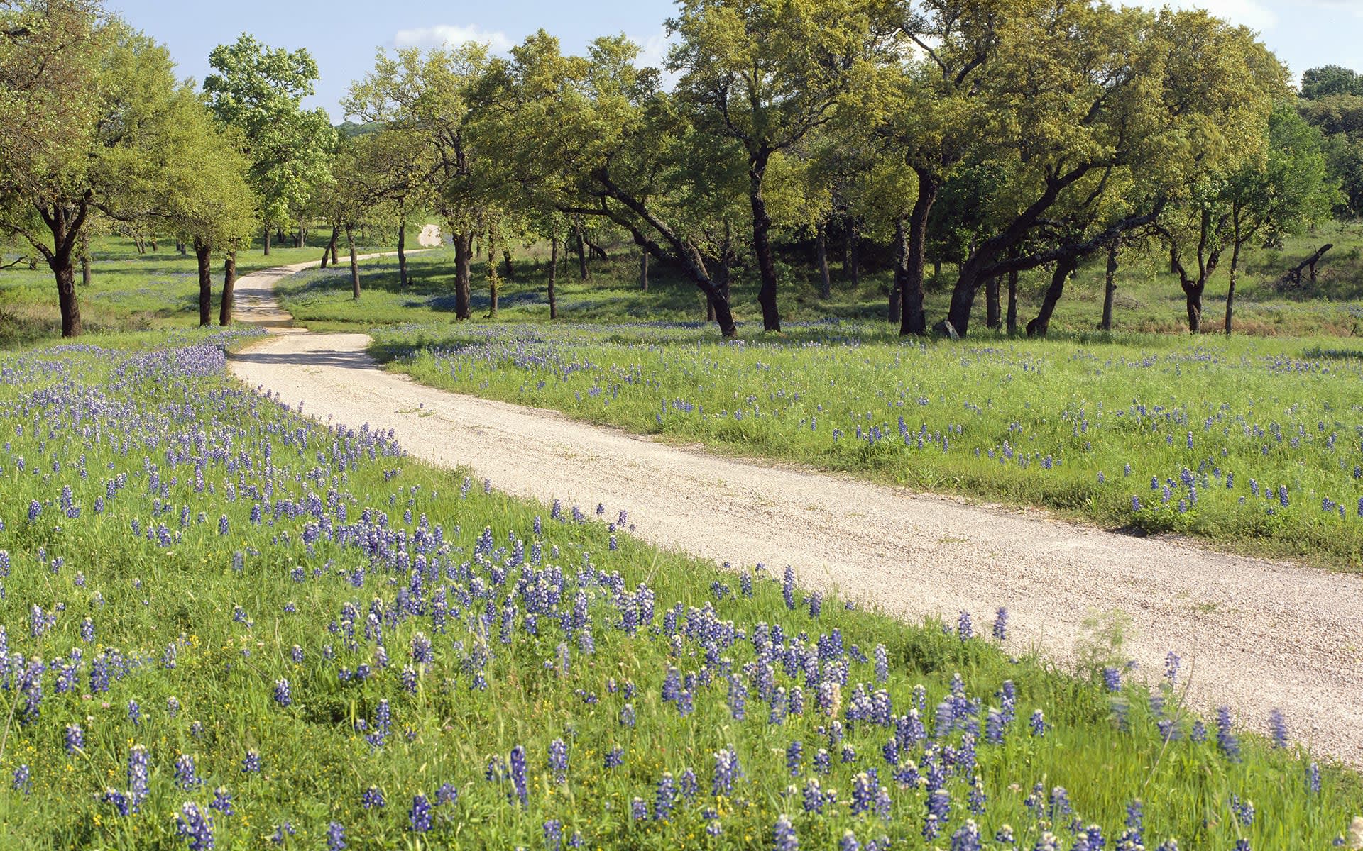 List Your Texas Land or Ranch | Gaines Slade Real Estate Expert