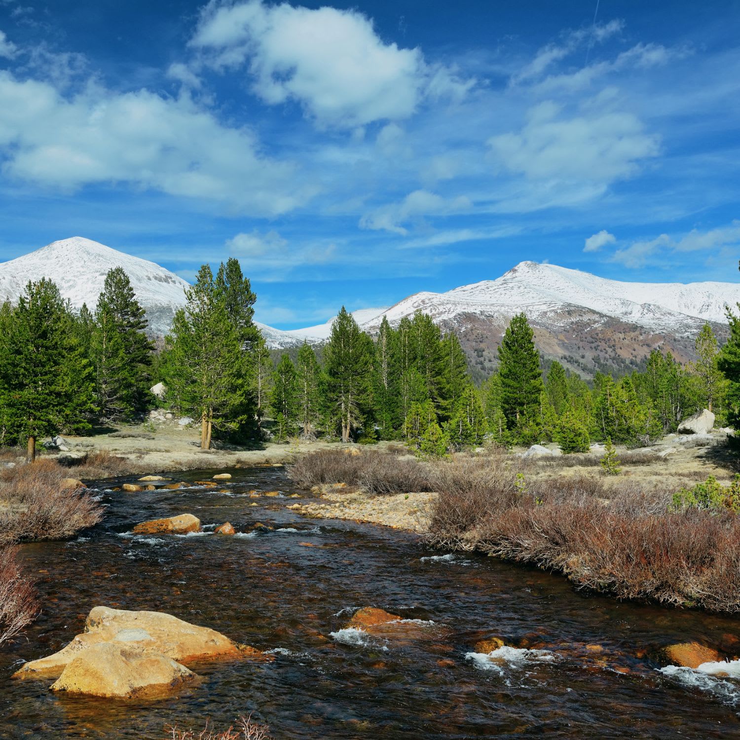 Arnold, CA Real Estate & Homes For Sale | Kip Machado & Team