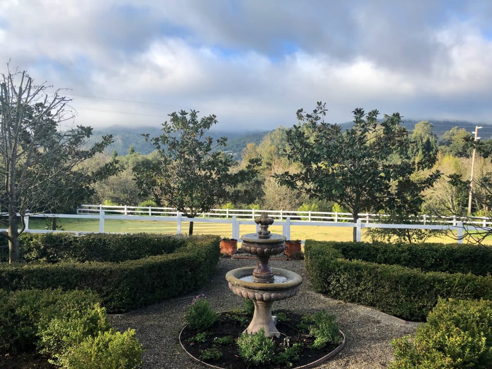 Suzanne Scott | Menlo Park Real Estate Agent