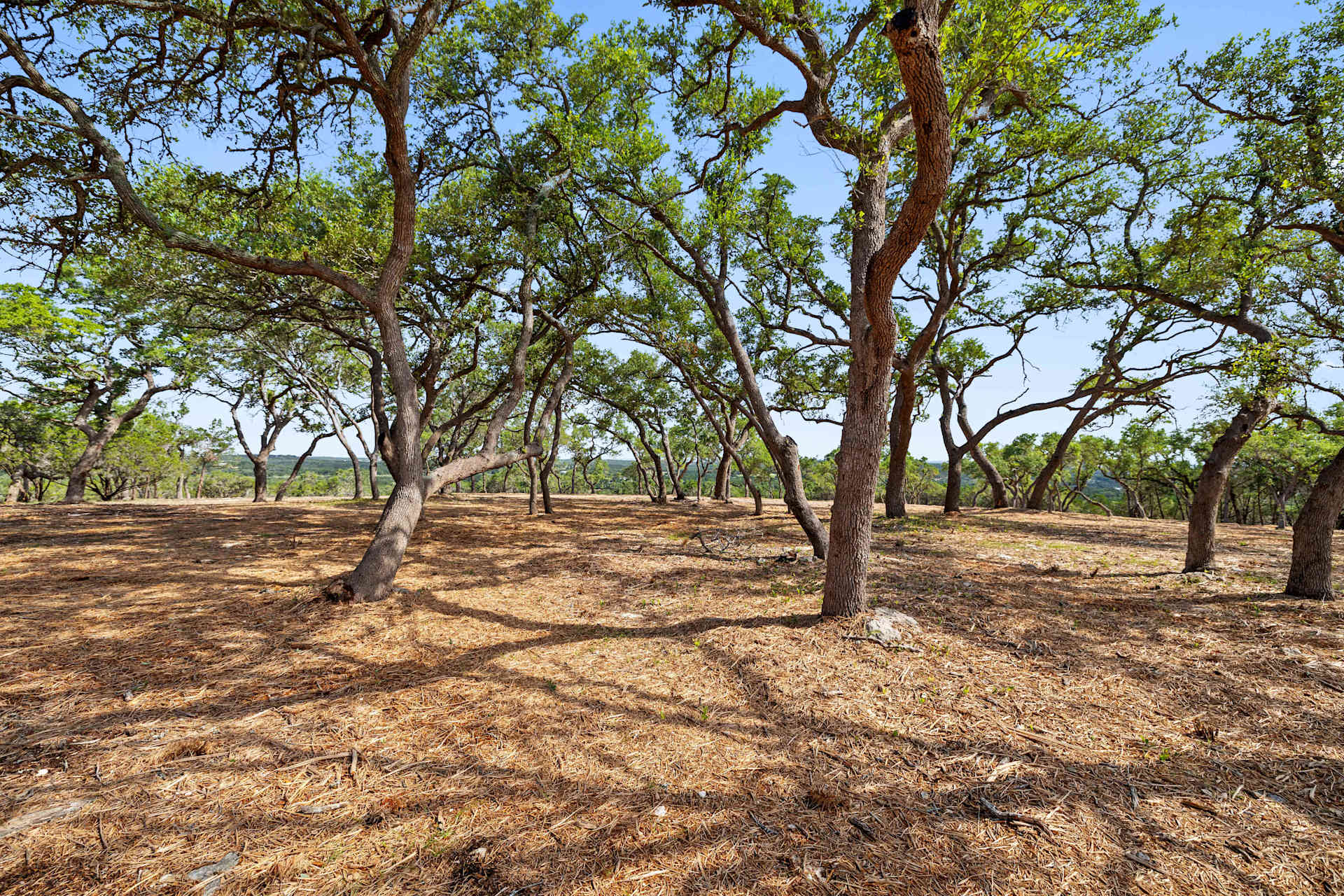 Photos and Video Gallery | Ranches at Canyon Crossing