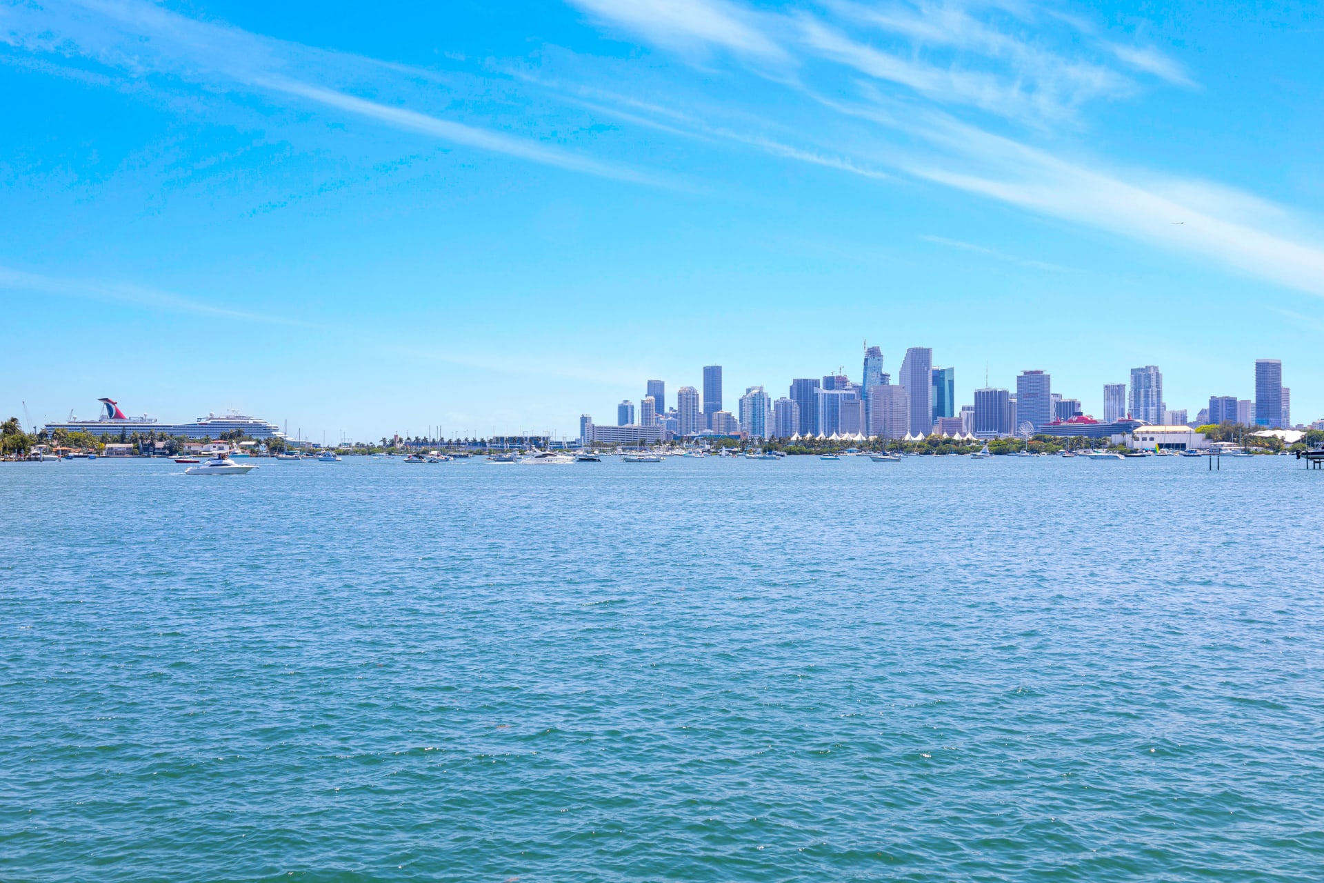 Reporting | Miami Beach Real Estate | Dora Puig