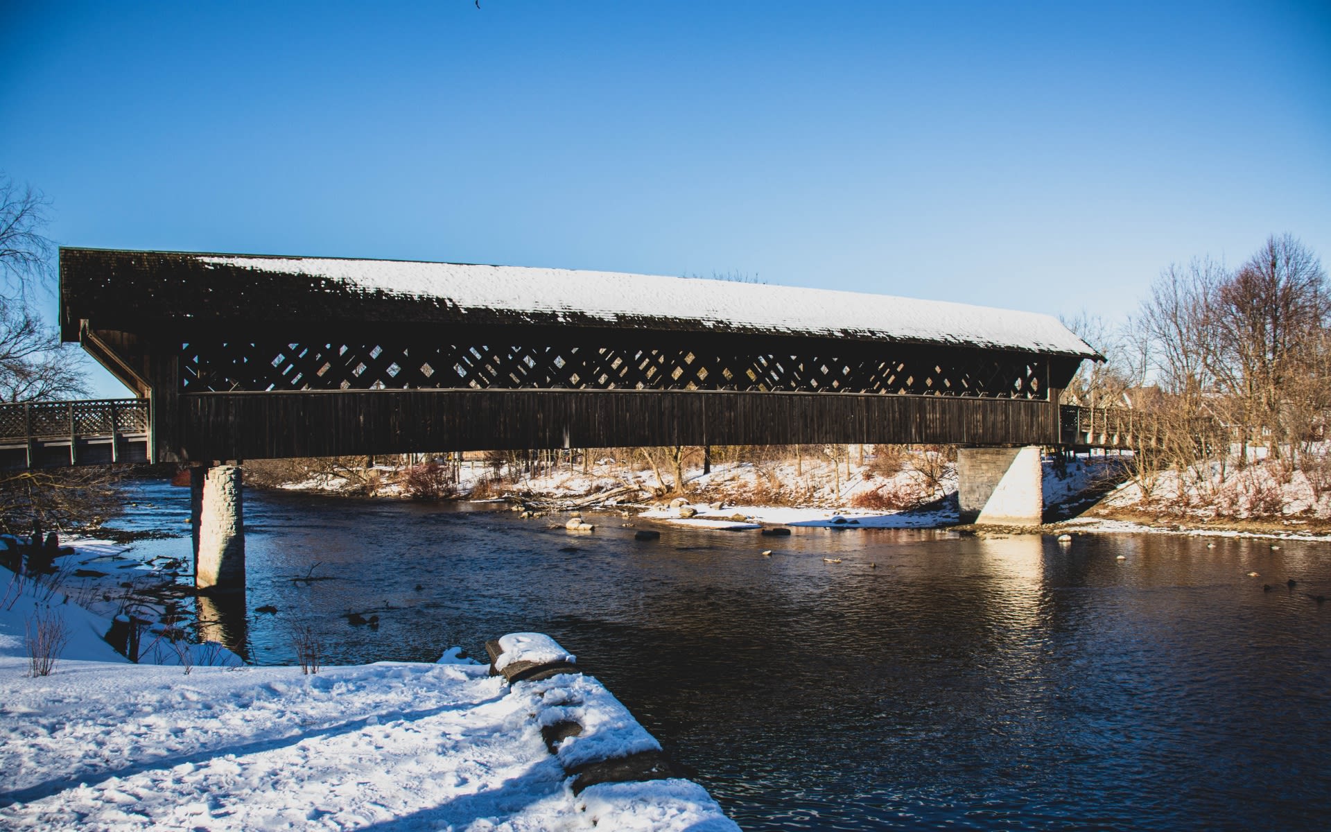 Rahul Luthra | Top Guelph Realtor