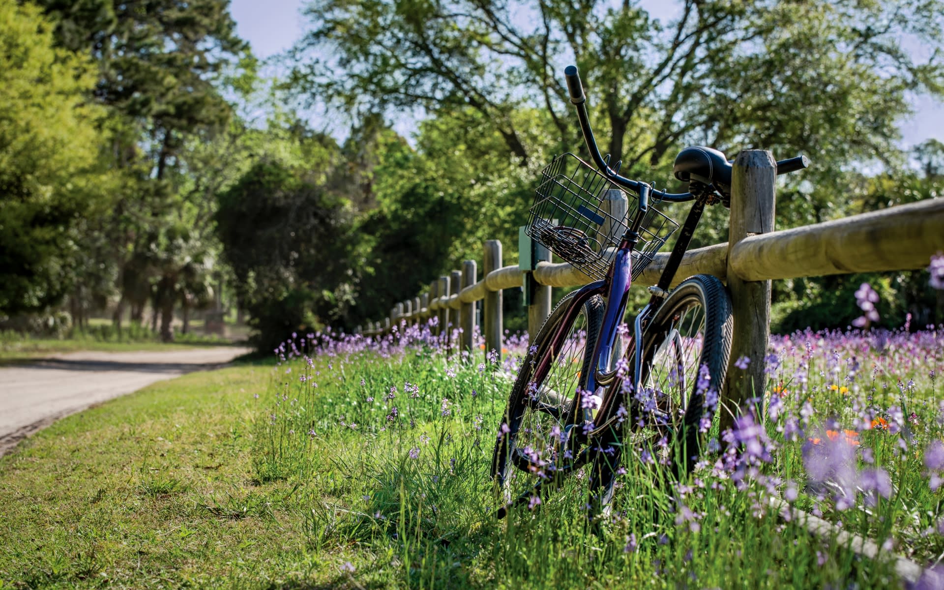 Hilton Head Plantation, SC Homes for Sale | Alisson Hidalgo