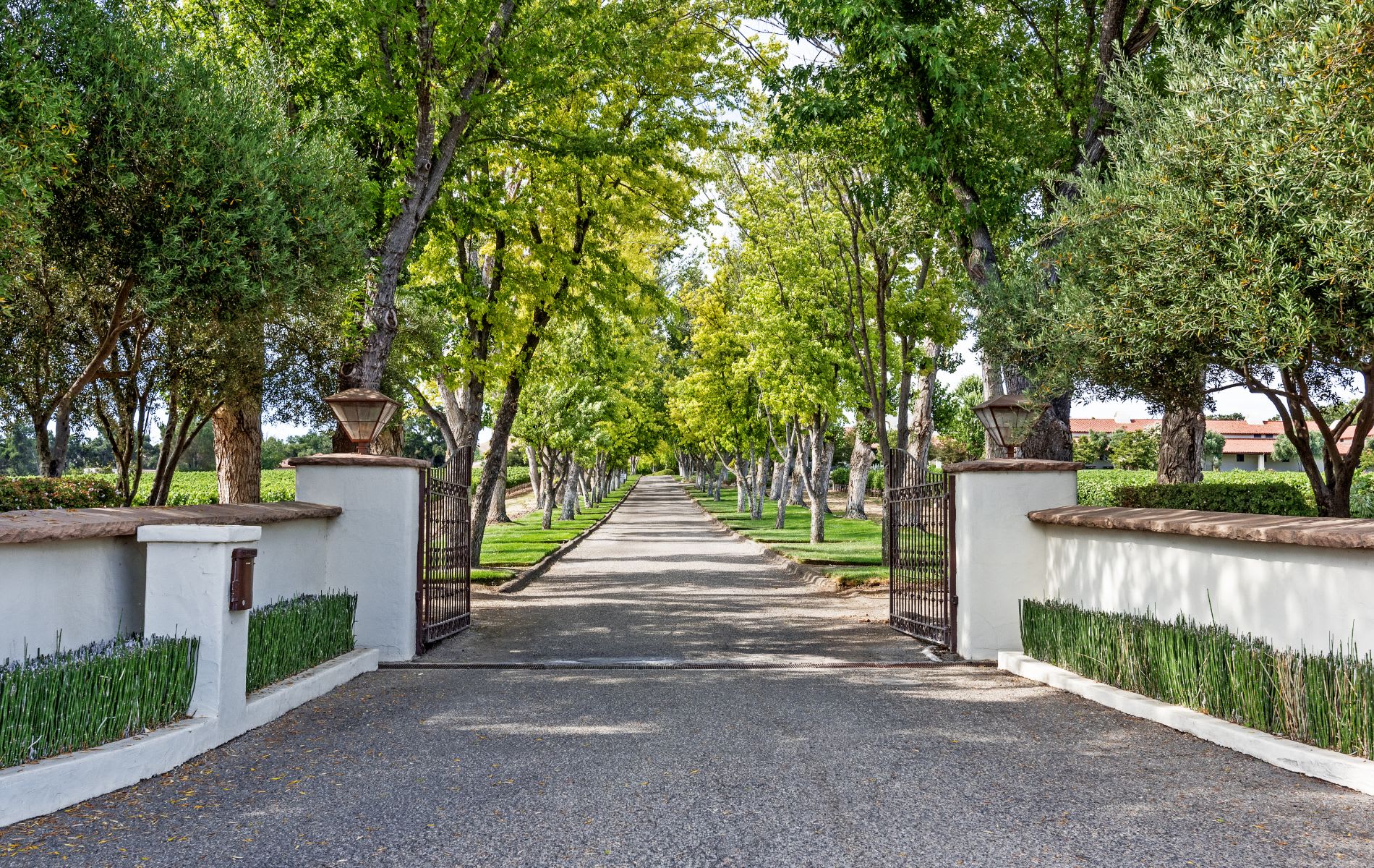 Meet the Team | PORTFOLIŌ Real Estate | Capitola Real Estate Agents