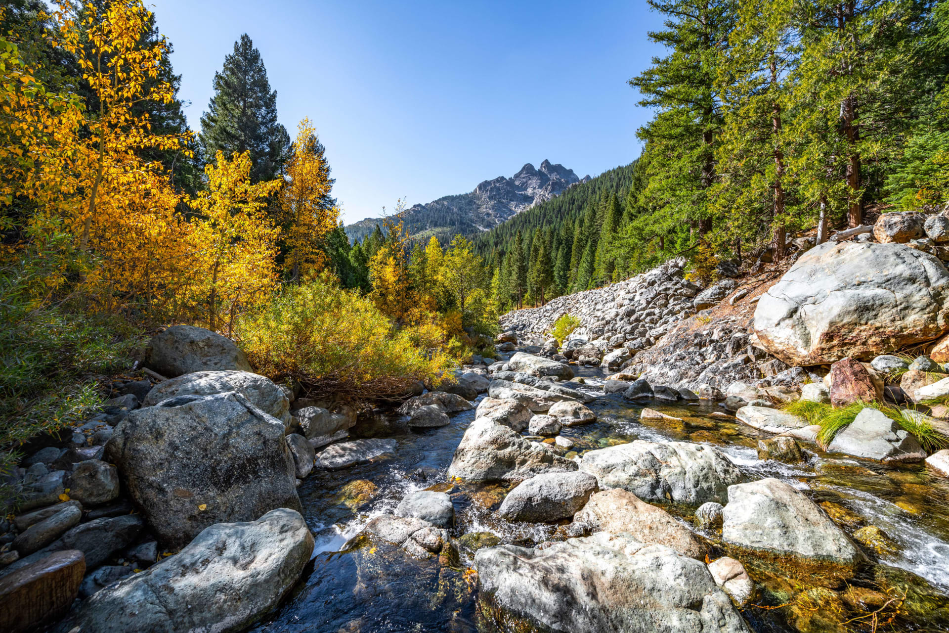 Auld Real Estate Team | Grass Valley & Nevada City Experts