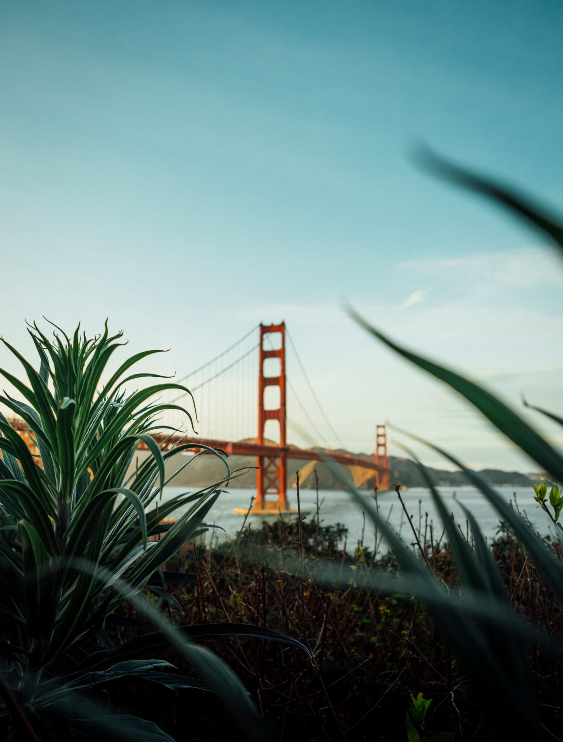 Mimi Bruce | San Francisco Real Estate