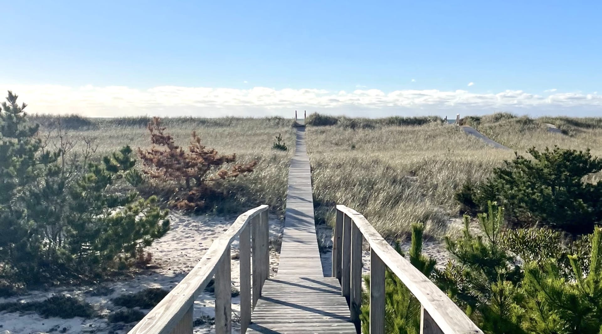 Press & Media | Margot Reutter | The Hamptons Real Estate Advisor