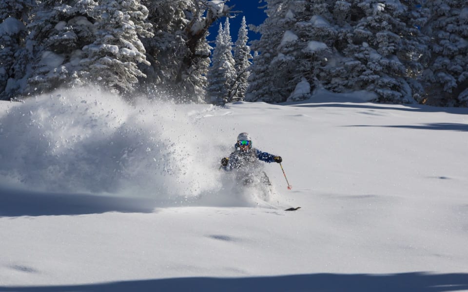 Experience Jackson Hole | Colby Murphy