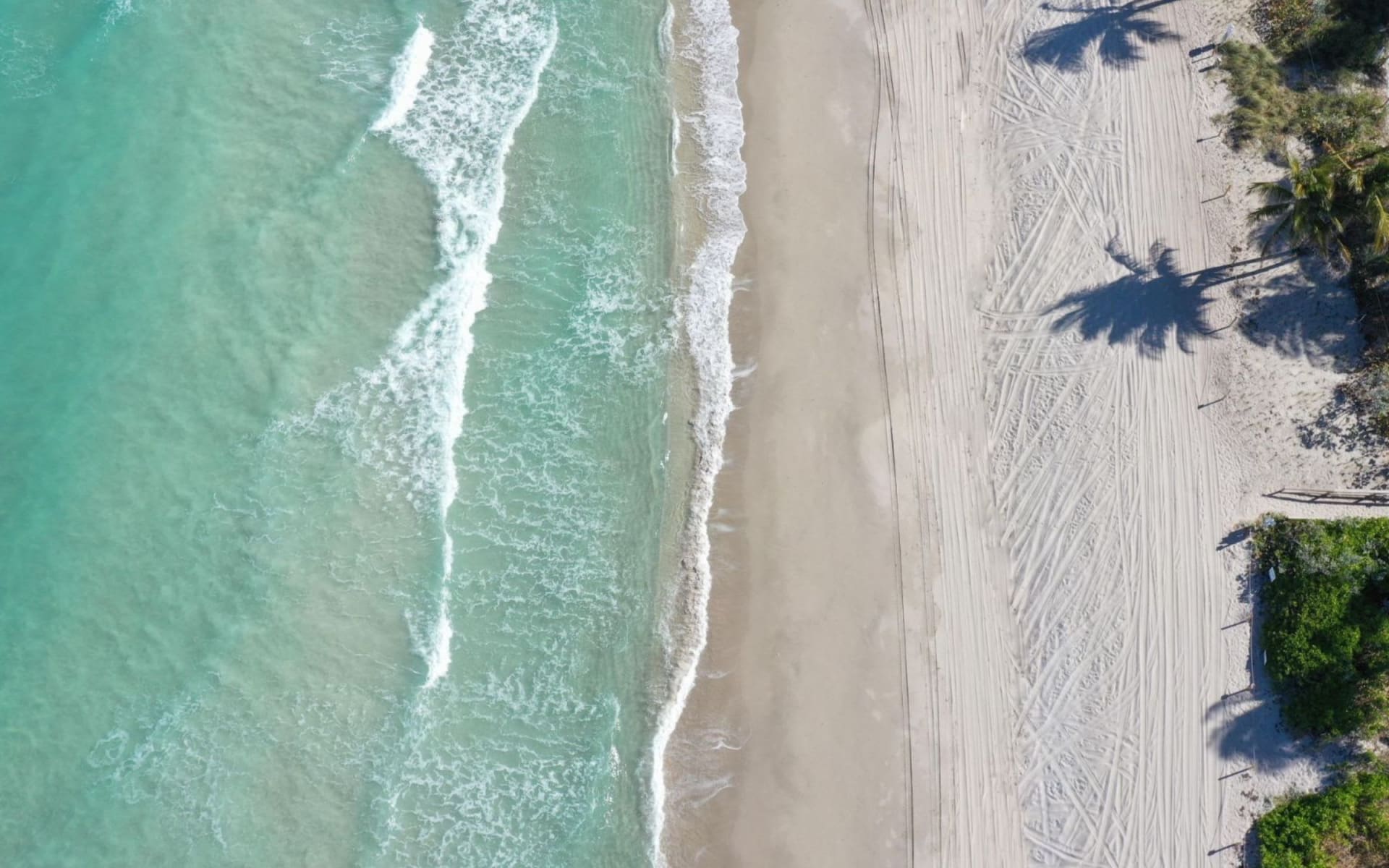 Top Florida Real Estate Agents | Atlantic Ocean Realty