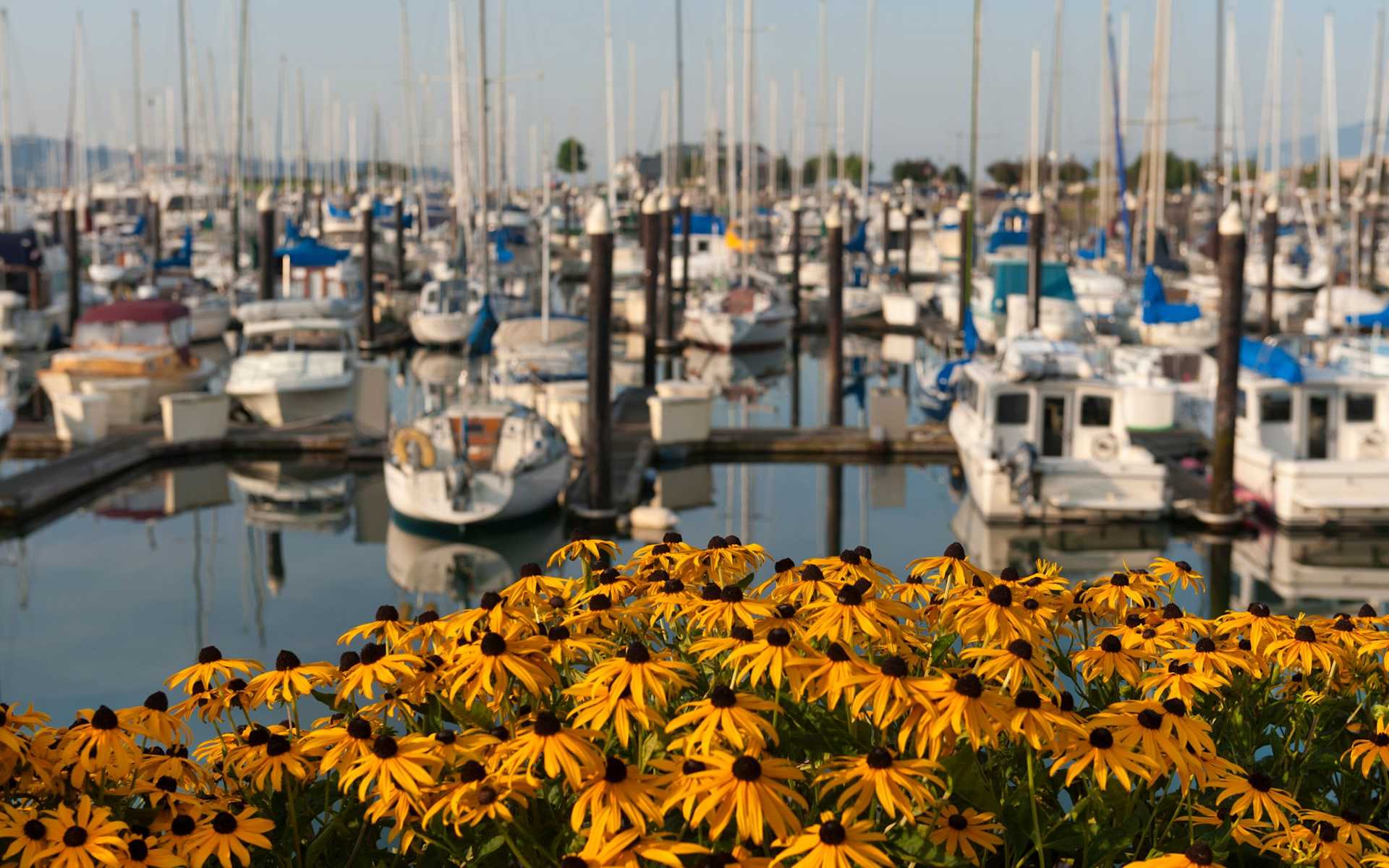 Impact | Julian & Company Serving Bellingham, WA