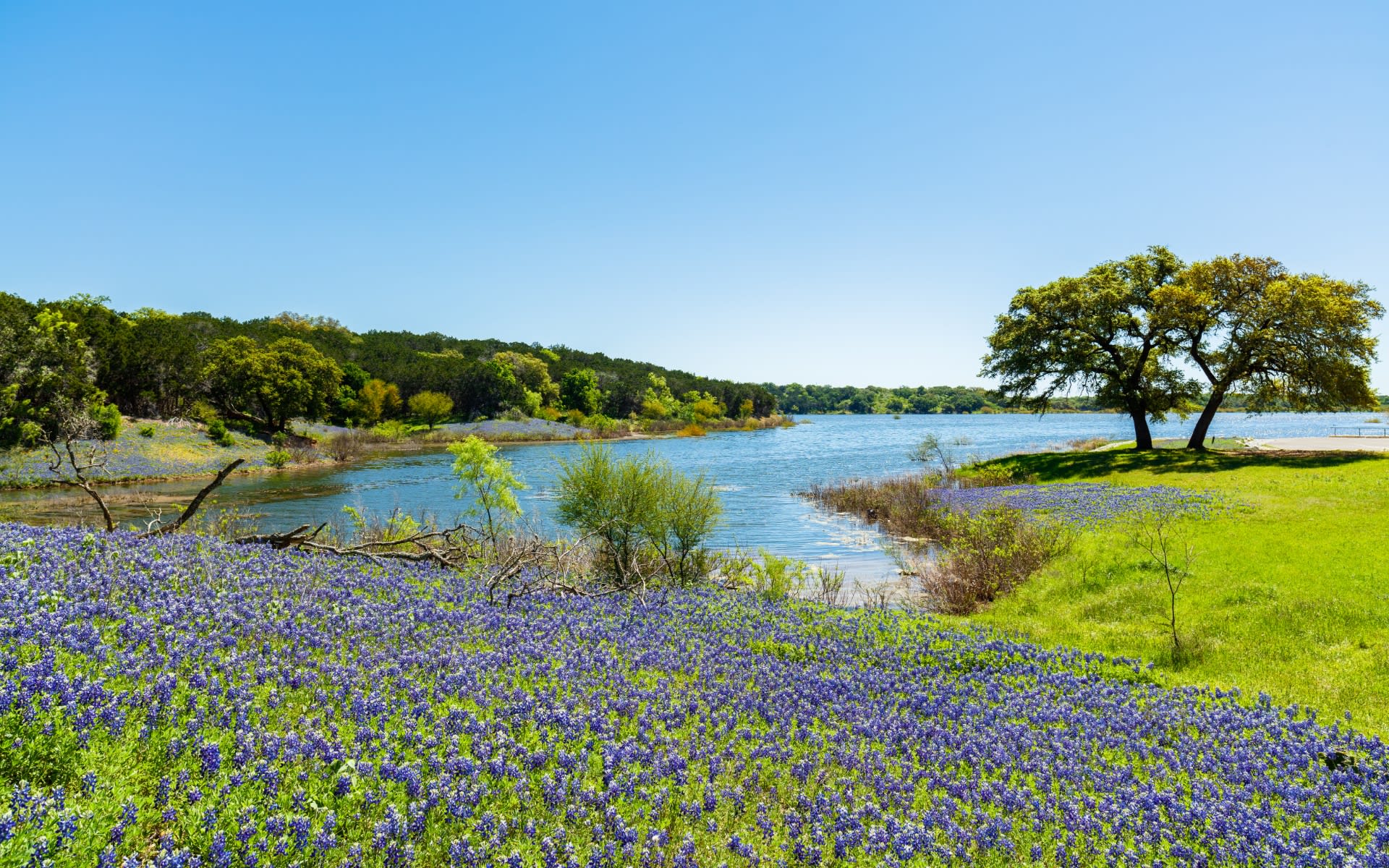 Explore Hill Country Property Listings by City | Mardee Calkins Real Estate