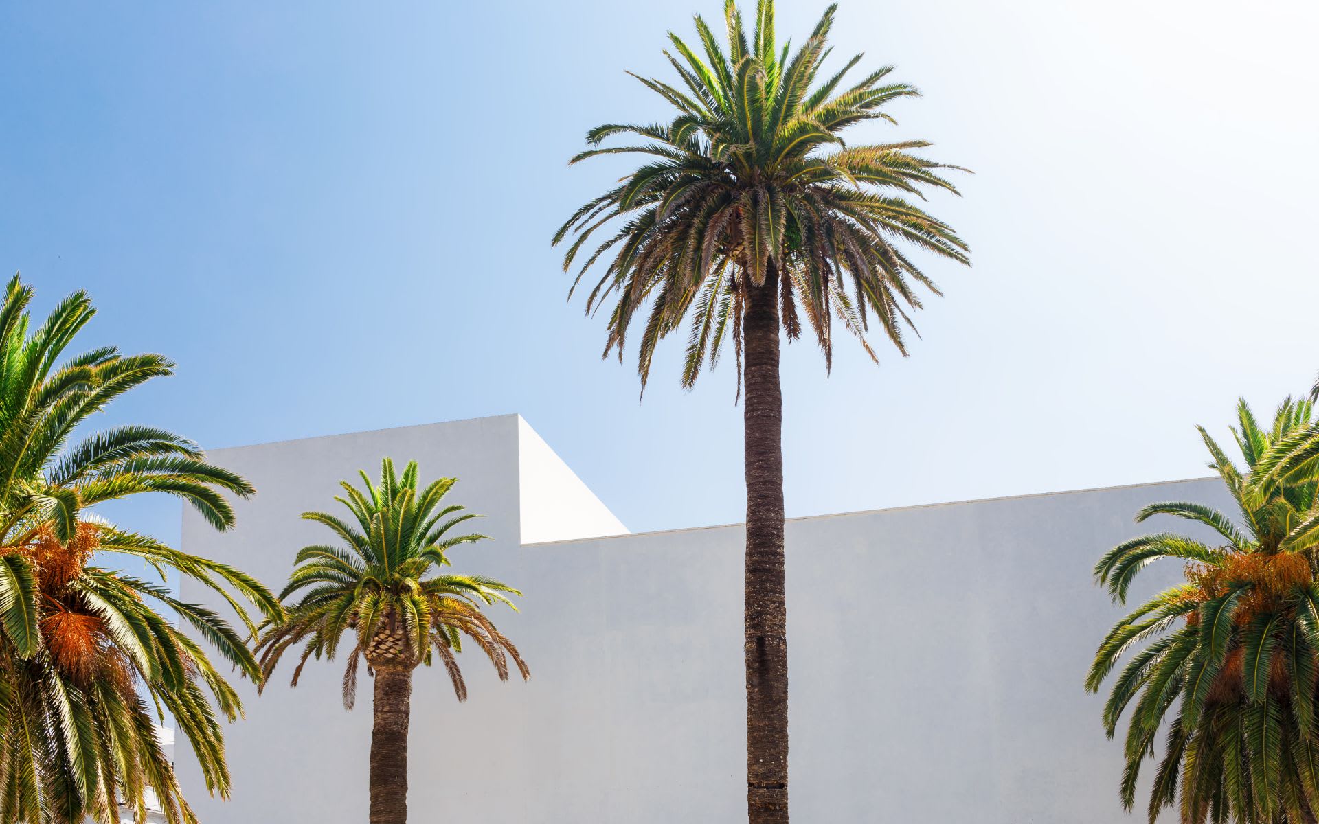 The Sher Group | Los Angeles Real Estate Brokerage