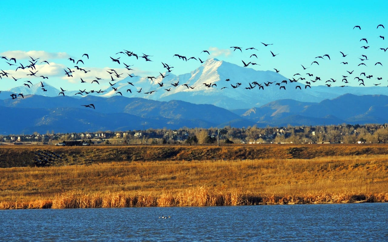 Meet NorthStar Realty | South Dakota Real Estate Agents