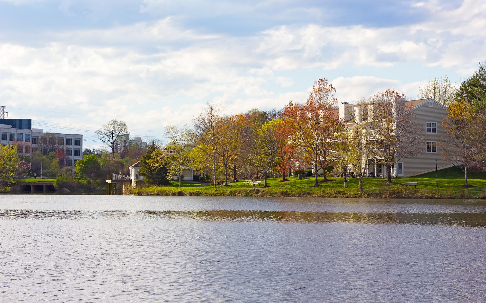 Virginia | Cupid Real Estate