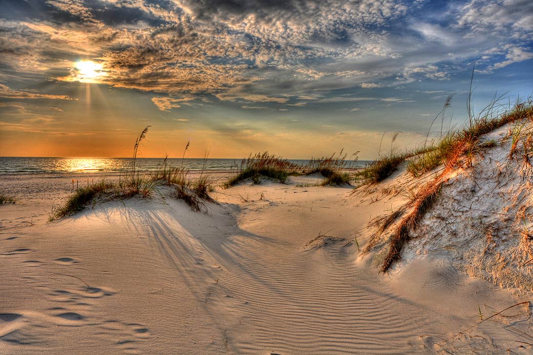 St Joseph Beach, Florida Homes For Sale - Carter Dorsch