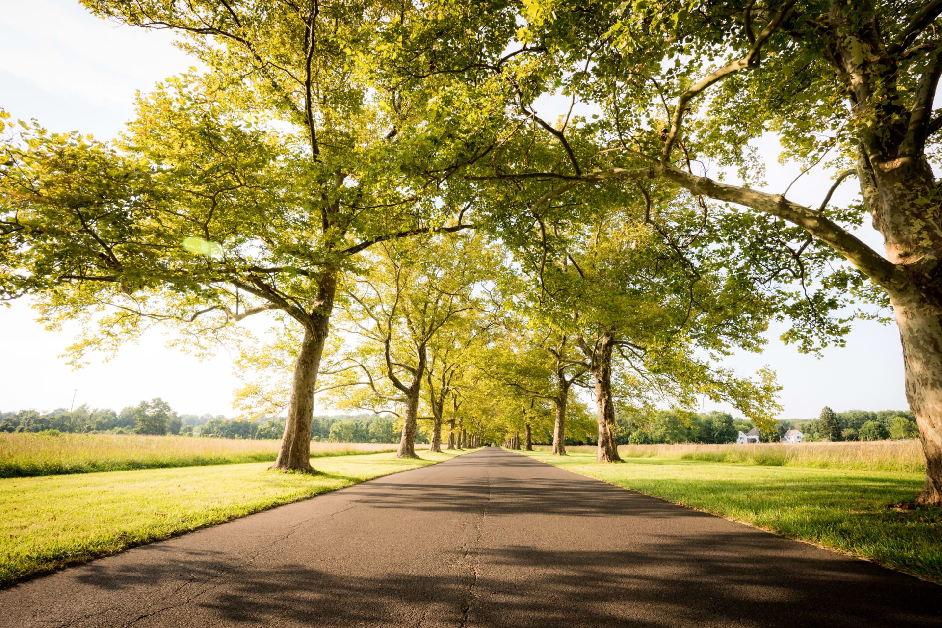 Mish Realty | Bucks County Real Estate Agents