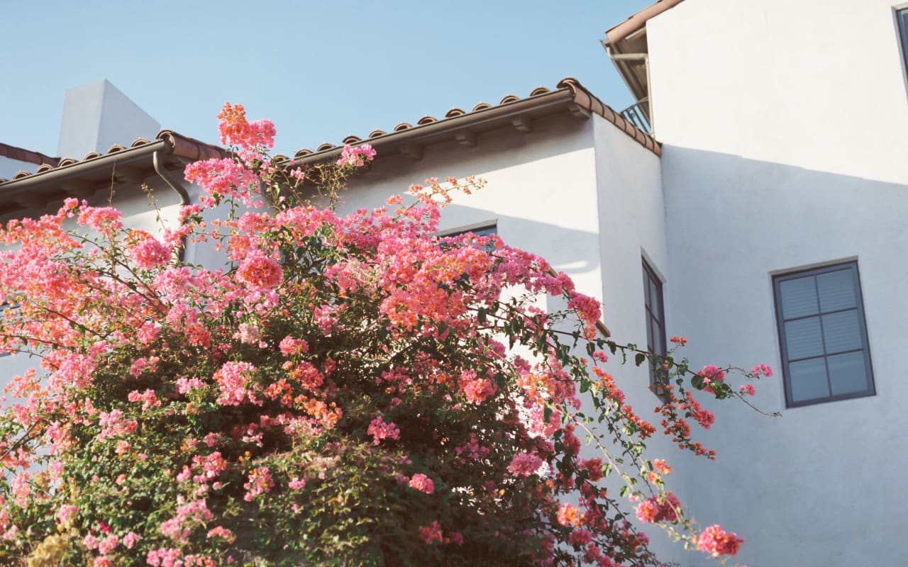 Vlog | Mercedes Van Pelt | El Segundo Real Estate Agent