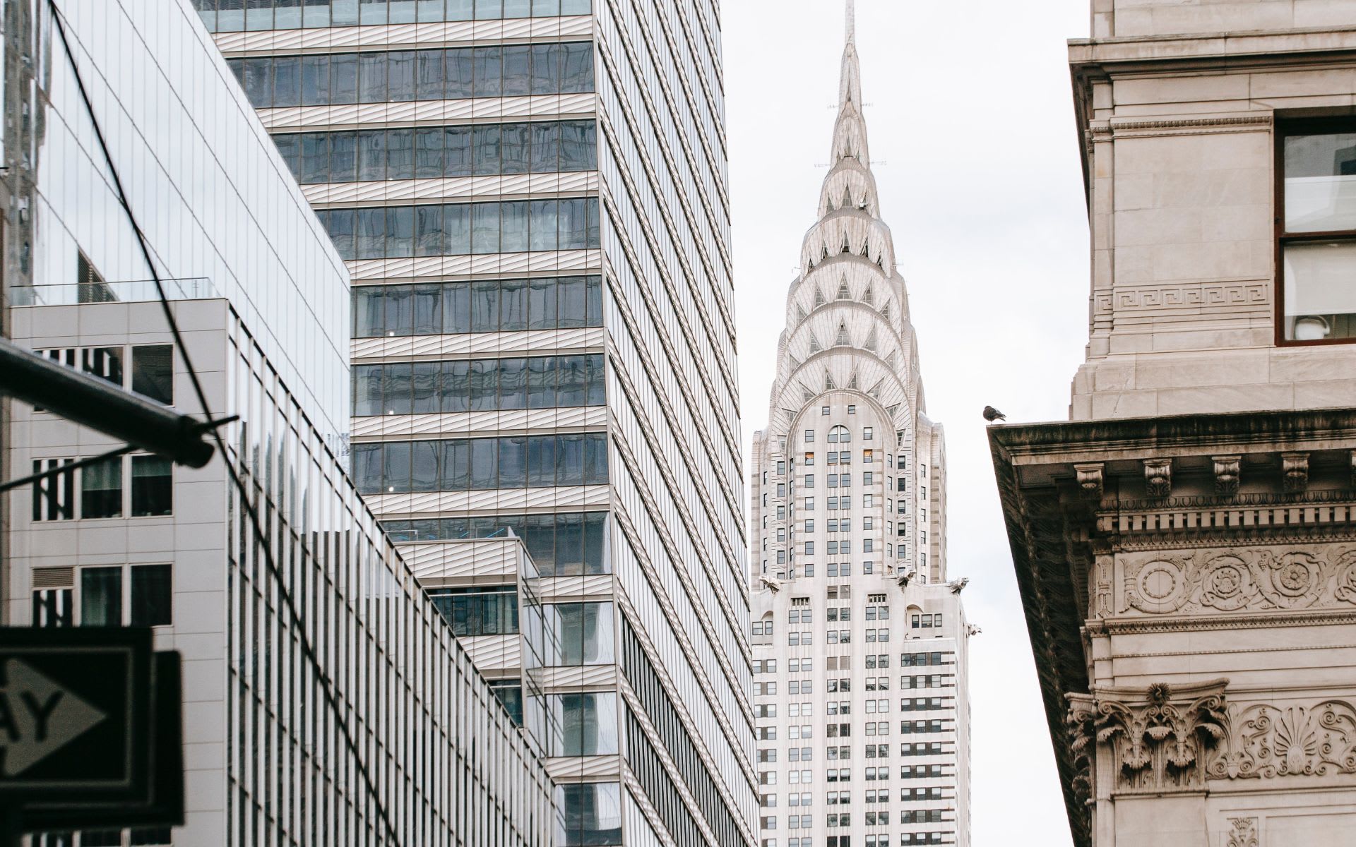 Meet The Team | The Pucker | Heinlein Team | New York Real Estate