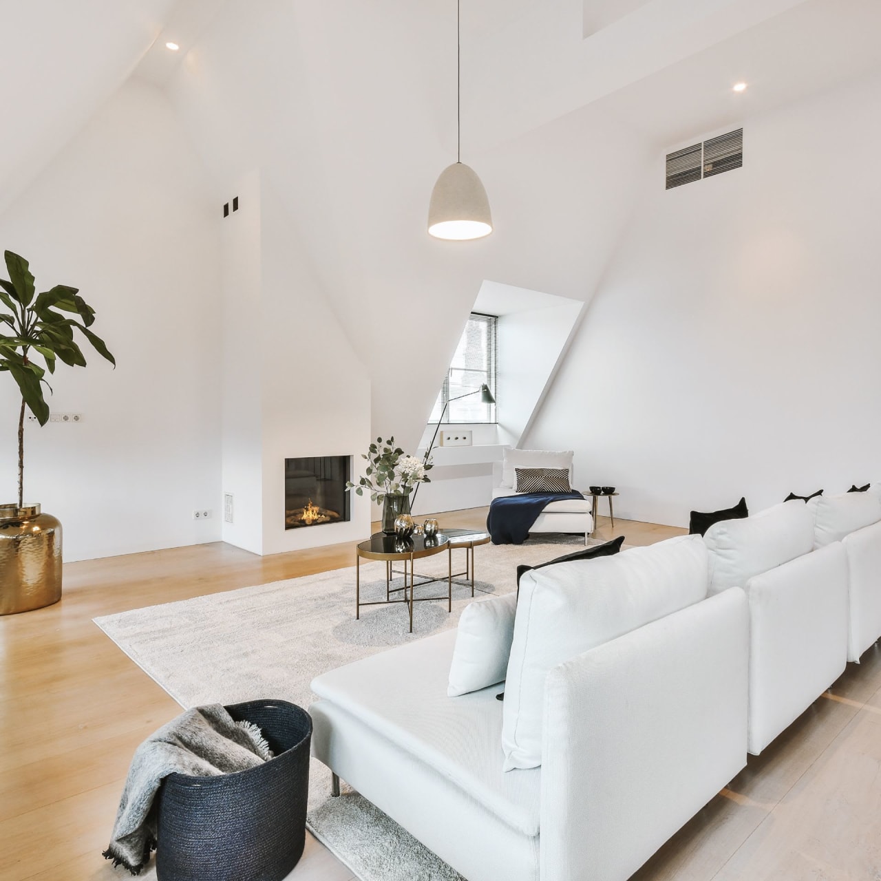 Jodi Dougherty | Chicago Real Estate Expert