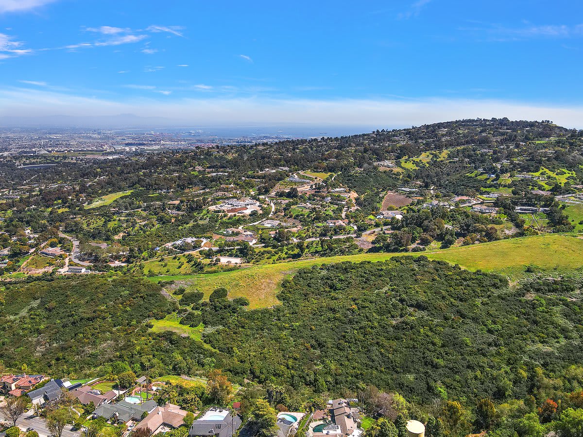 Let's Connect | Storm Hill Lane | Suzanne Dyer